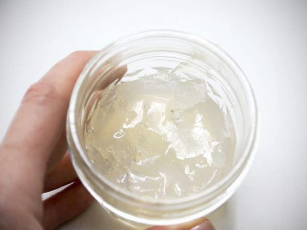 The Great Gel Experiment | Redheaded Herbalist