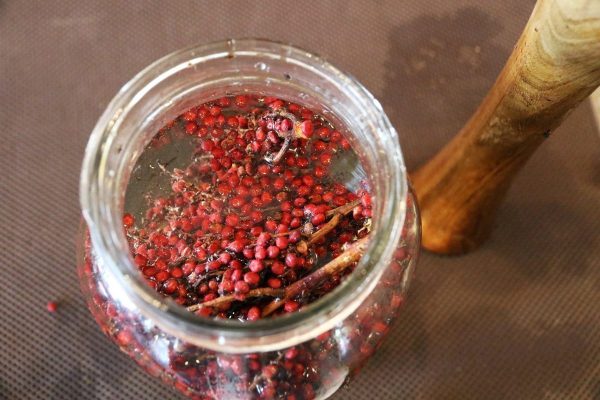 When Life Gives You Sumac… Make Sumac Pink Lemonade | Redheaded Herbalist