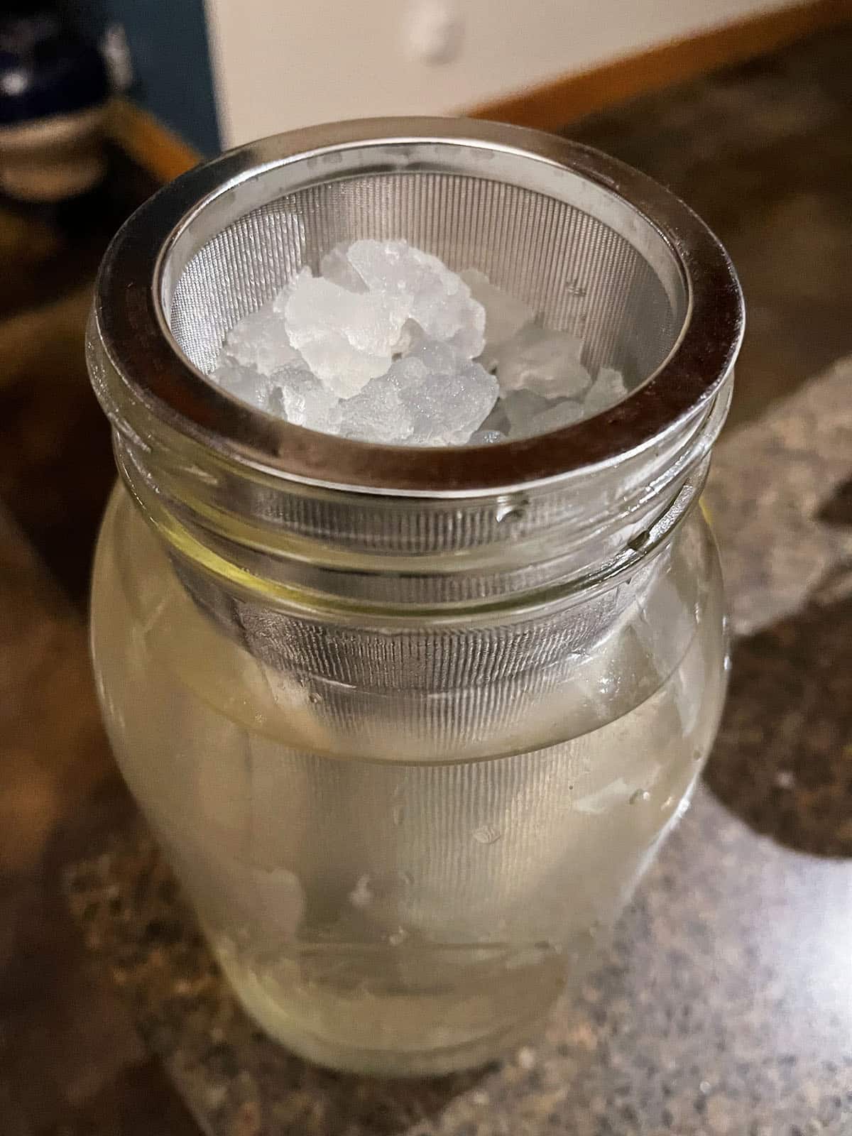 Water Kefir Basics | Redheaded Herbalist