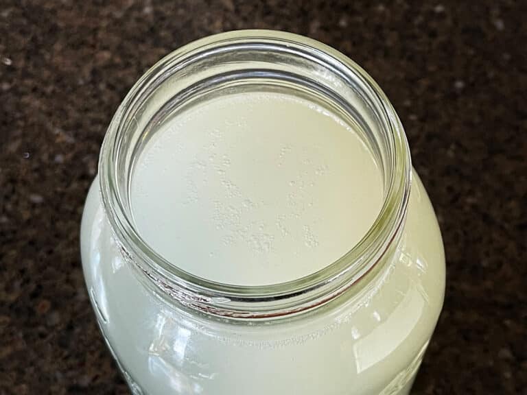 Water Kefir SOS: Troubleshooting Your Brew | Redheaded Herbalist