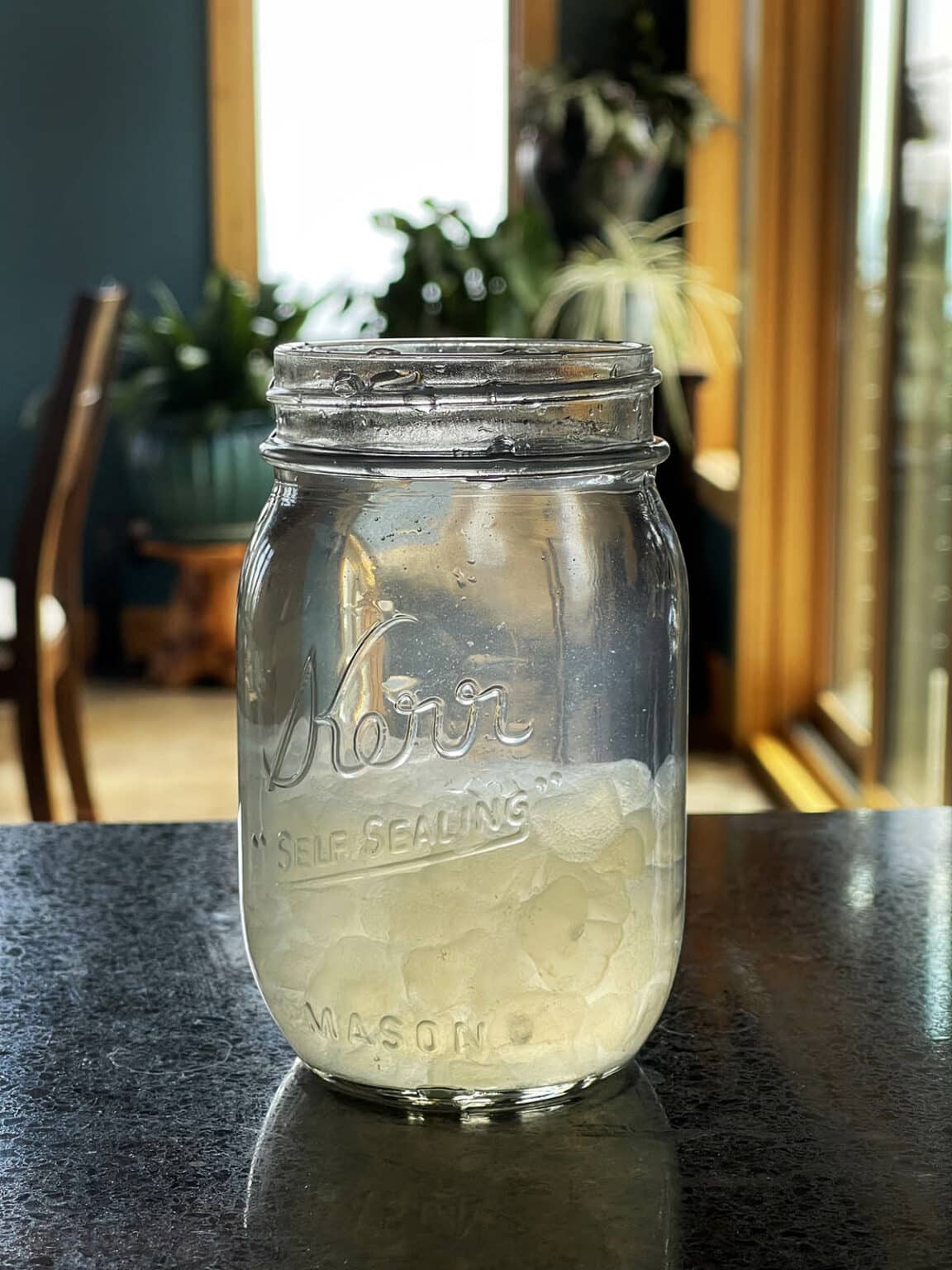 Water Kefir SOS: Troubleshooting Your Brew | Redheaded Herbalist
